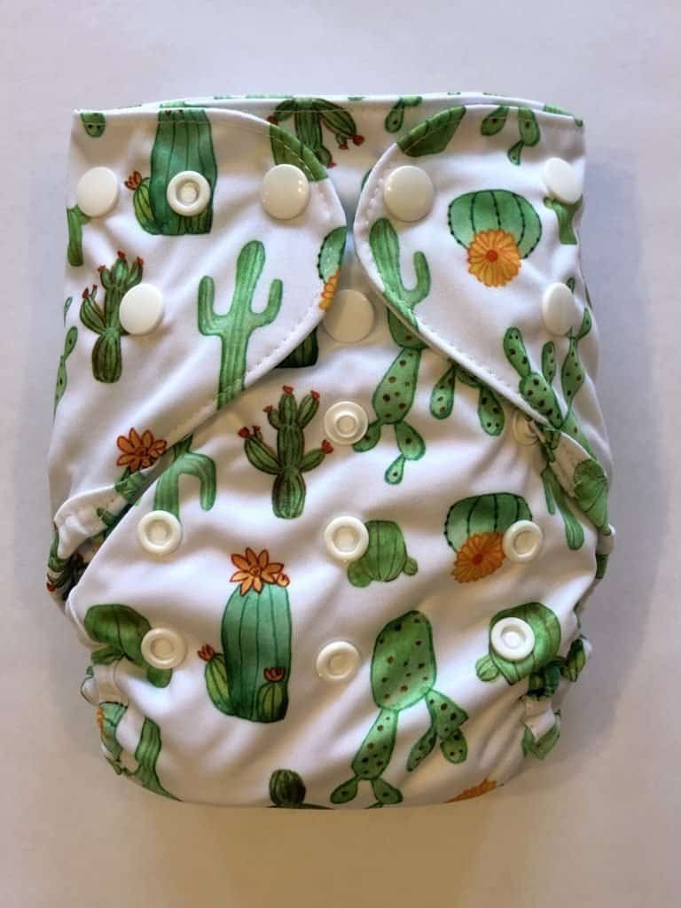 Newborn Cover - Cactus - A-Toosh-a-Licious